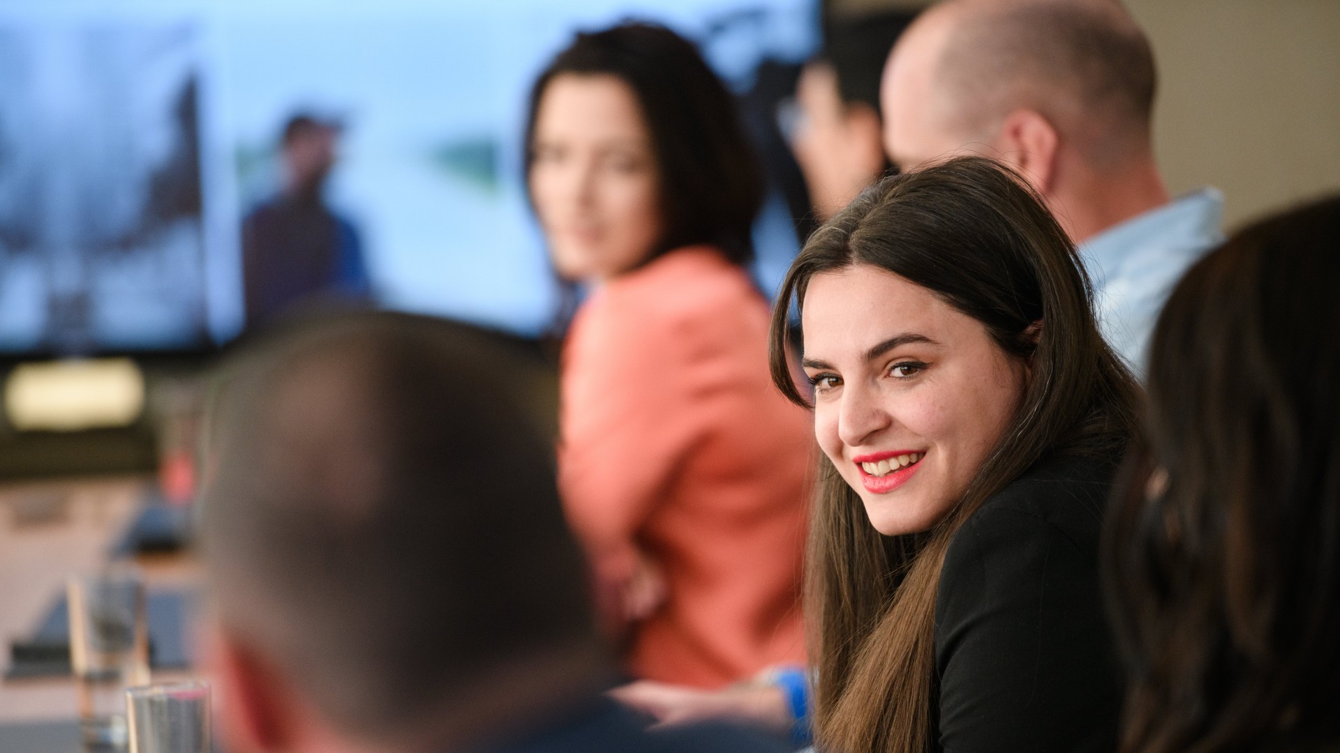 MIP - Internship Program - Albanian - American Development Foundation